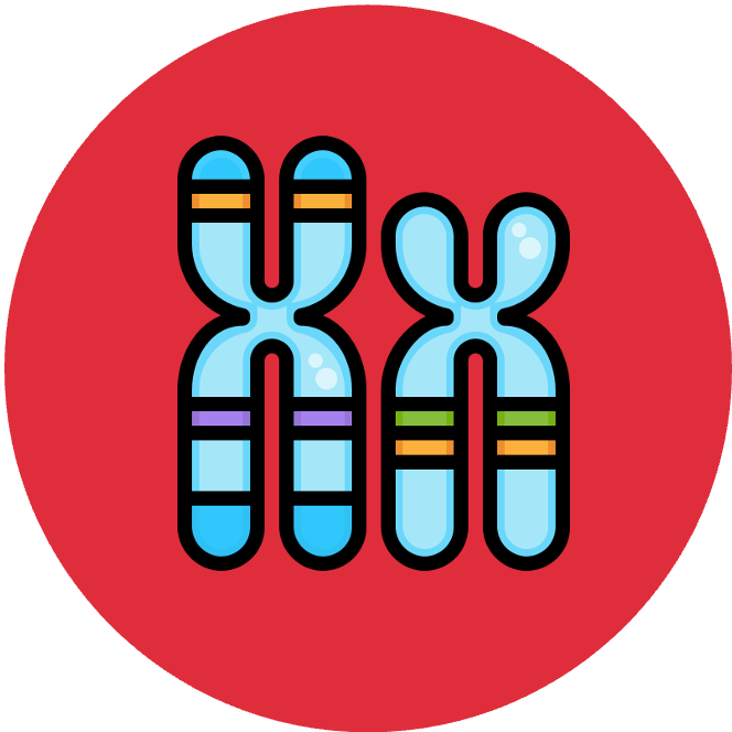 Gene Assortment 8893